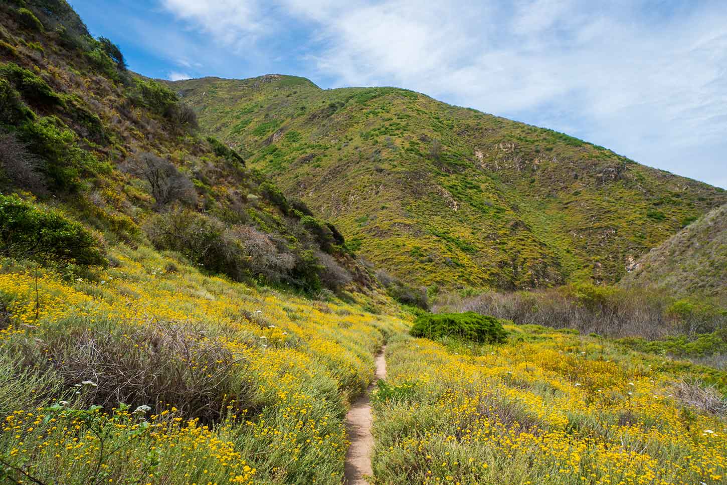 Garrapata State Park