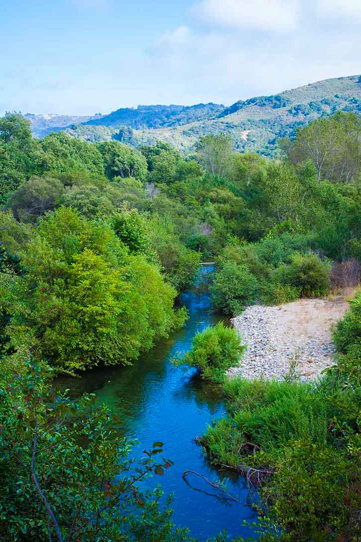 Andrew Molera State Park