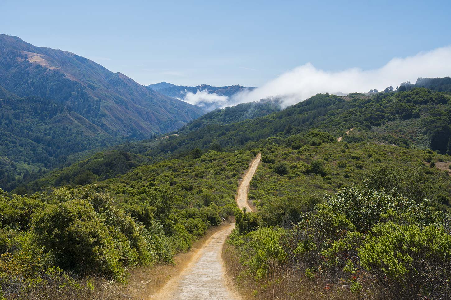 The Ridge, Panorama, and Bluffs Loop
