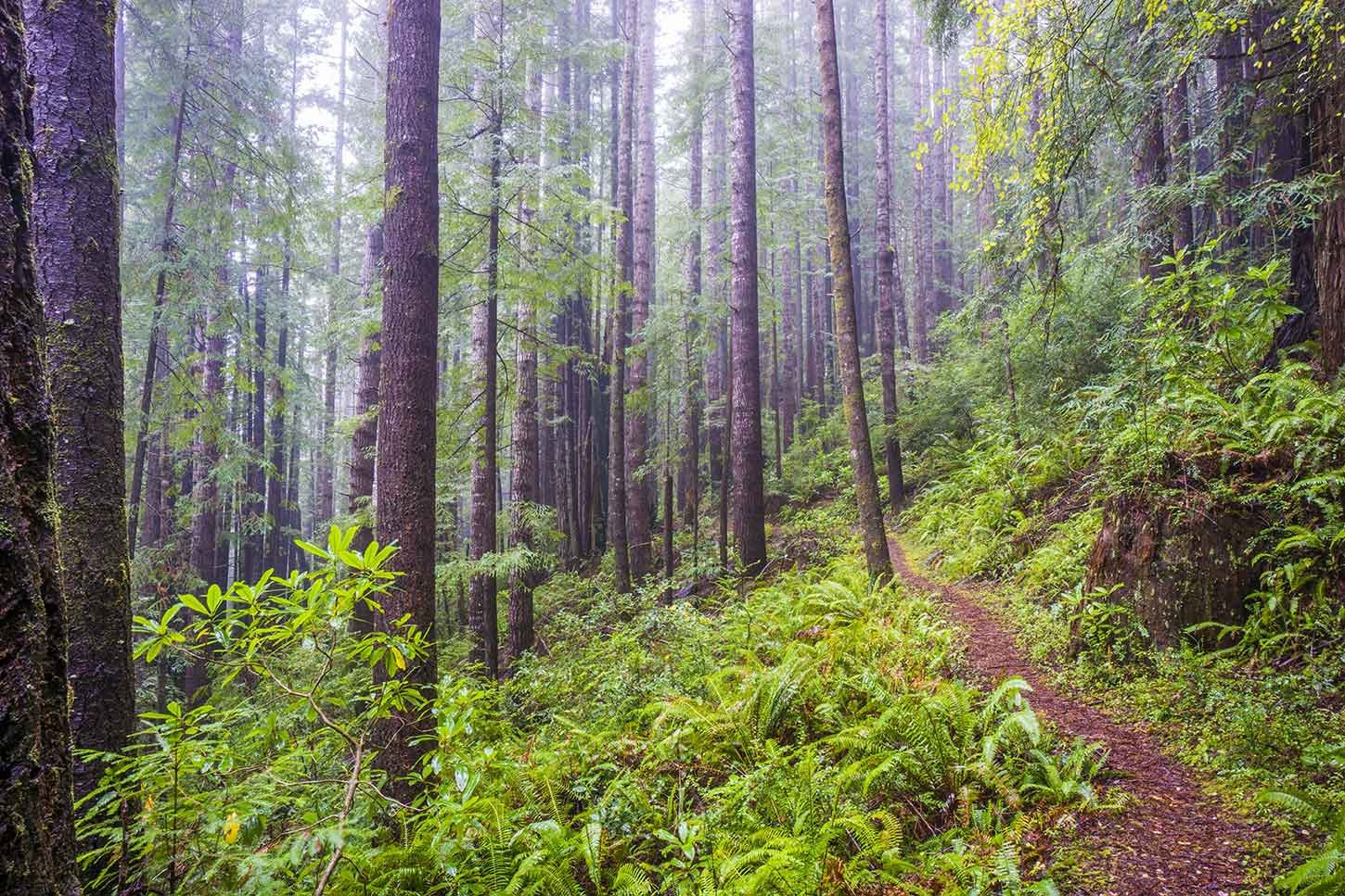 Hobbs Wall and Saddler Skyline