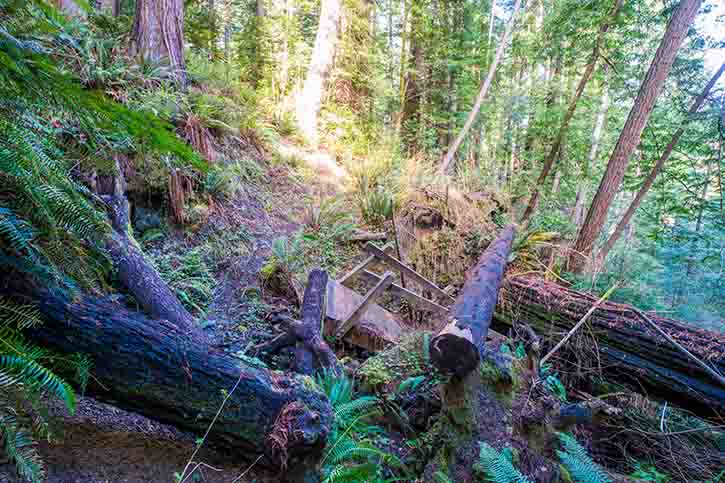 Hobbs Wall and Saddler Skyline