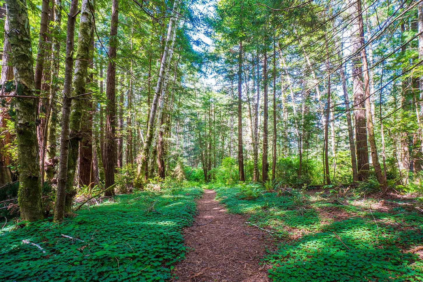 The Coastal Trail, Last Chance Section