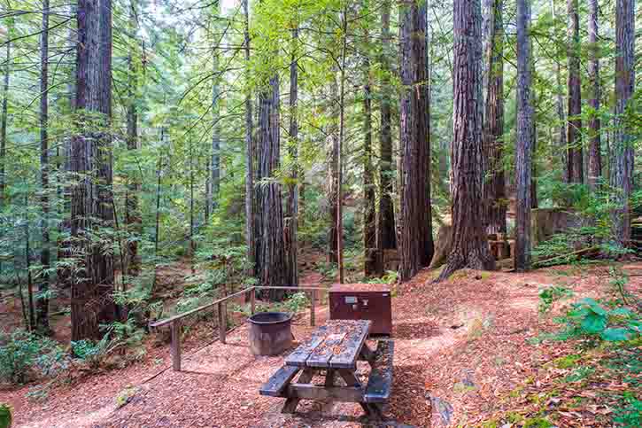 Humboldt Redwoods State Park Camping Humboldt Redwoods State Park