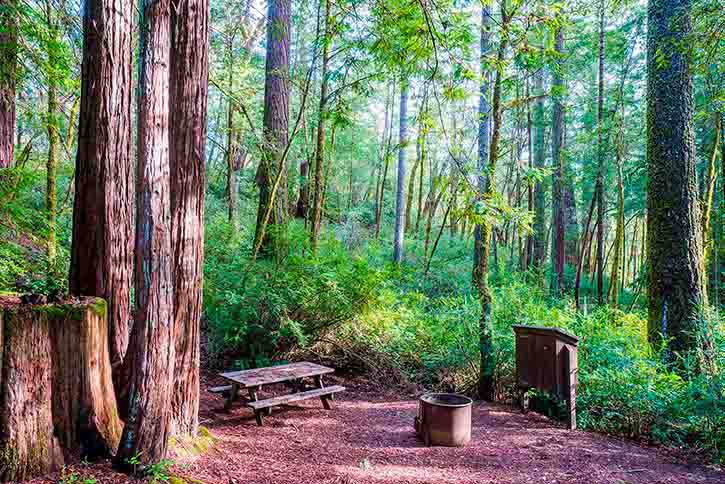 Hidden Springs Campground