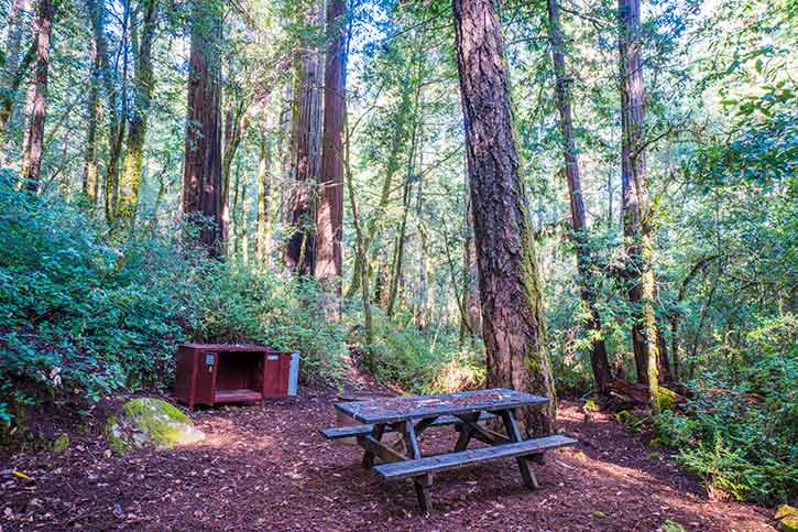 Hidden Springs Campground