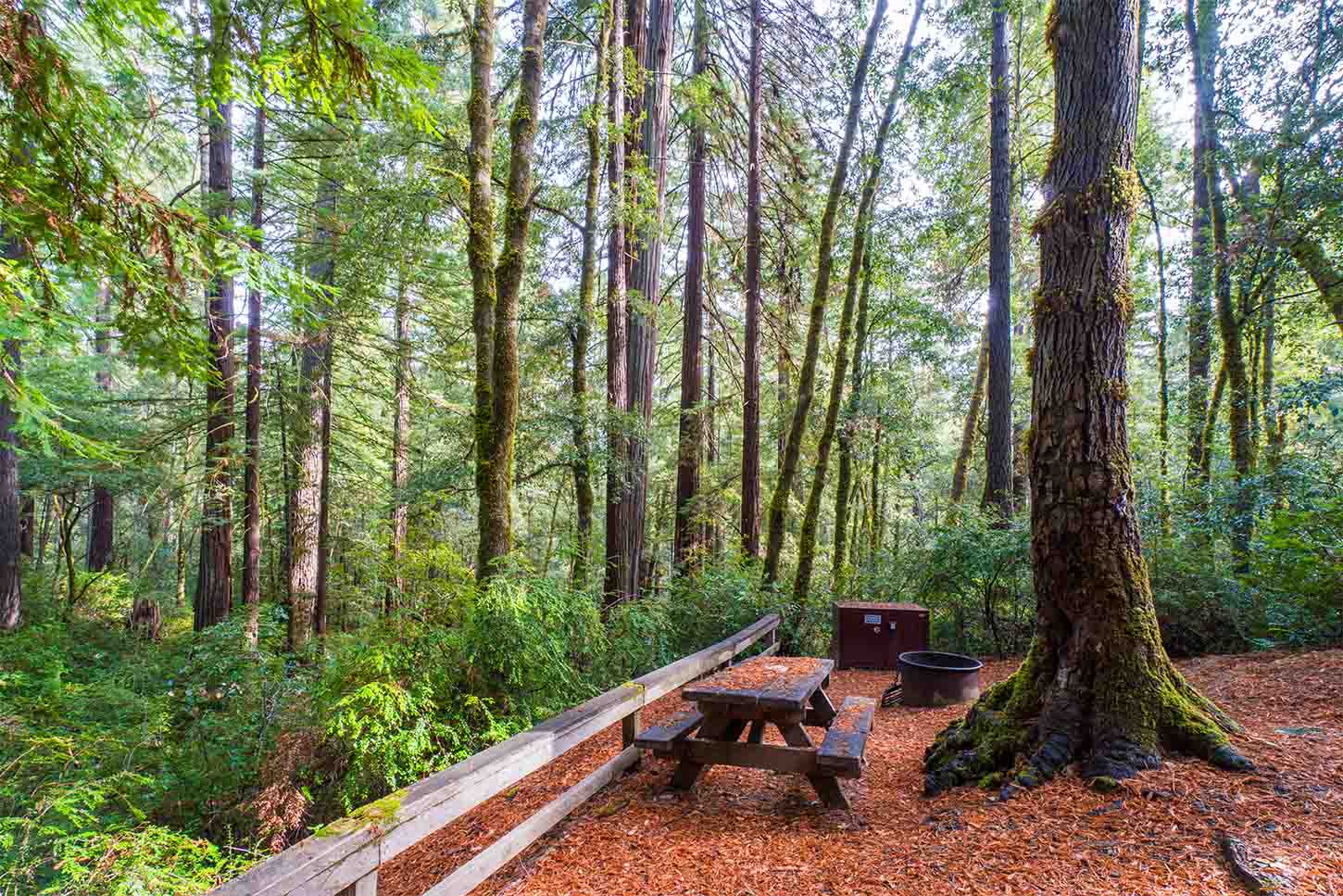 Hidden Springs Campground