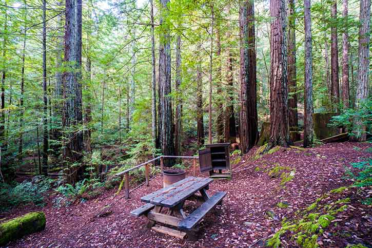 Hidden Springs Campground