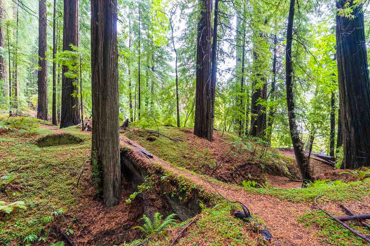 The High Rock Trail