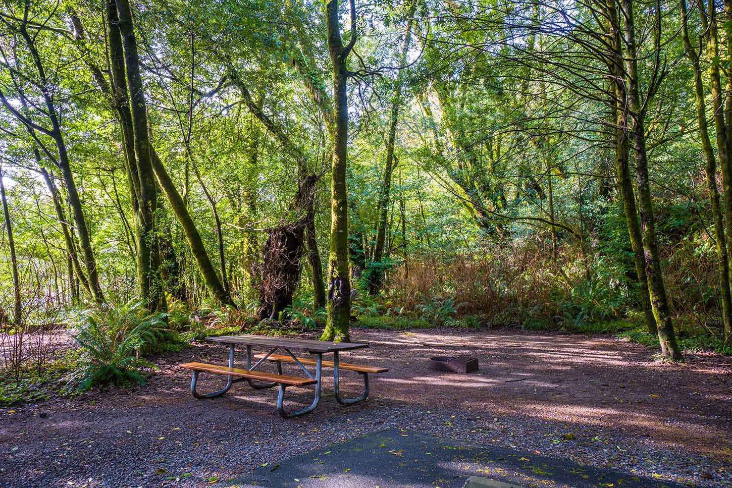 Alfred A. Loeb Campground