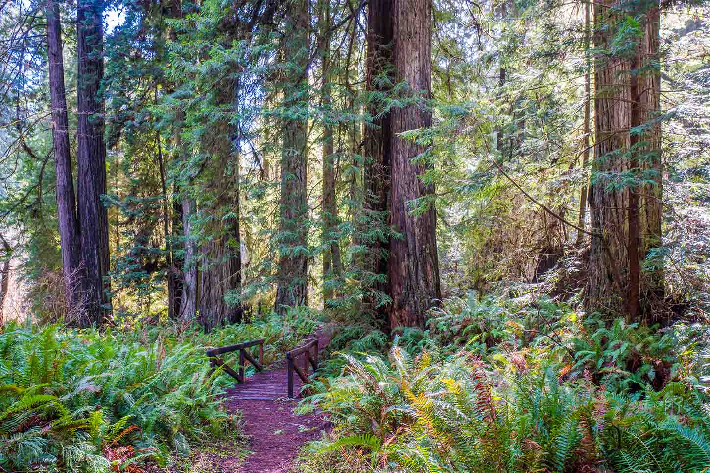 The Karl Knapp Trail, north half