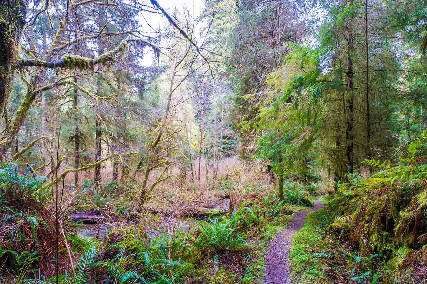 The Karl Knapp Trail, north half