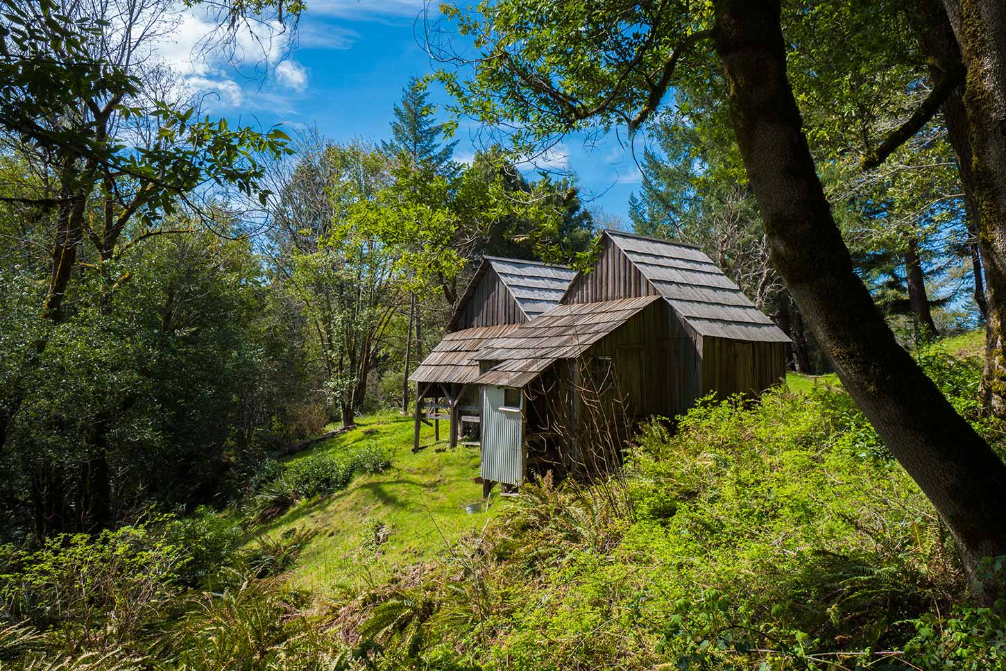 The Lyons Ranch Trail