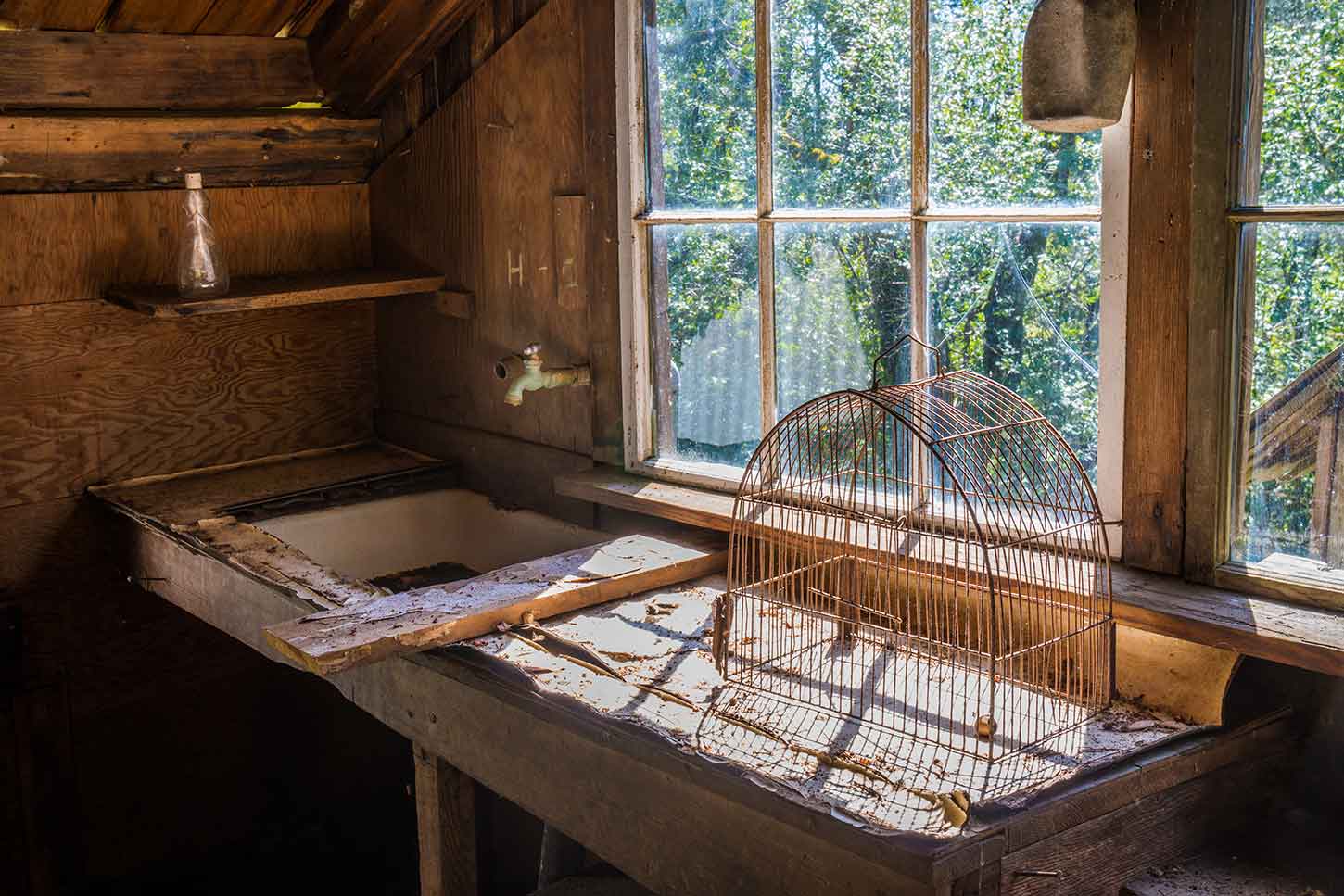 The Lyons Ranch Trail